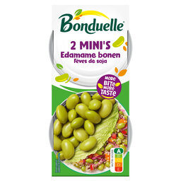 Zalm op Japanse wijze in filodeeg